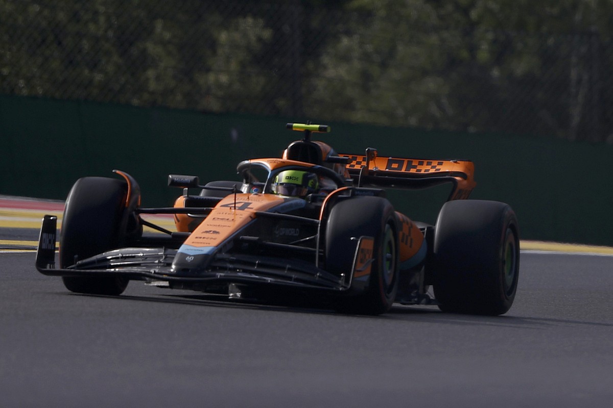 Opgeluchte Norris: Blij dat McLaren grote stap gezet heeft